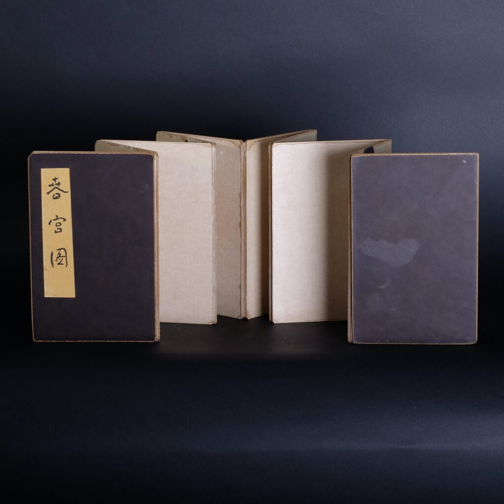 Vintage set of 5 Shunga Japanese and Chinese erotic pillow books. - 66 ...