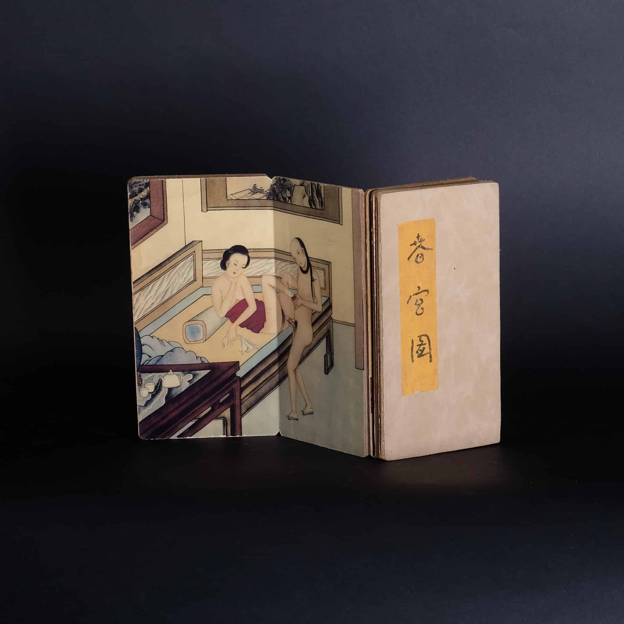 Vintage set of 5 Shunga Japanese and Chinese erotic pillow books. - 66 ...